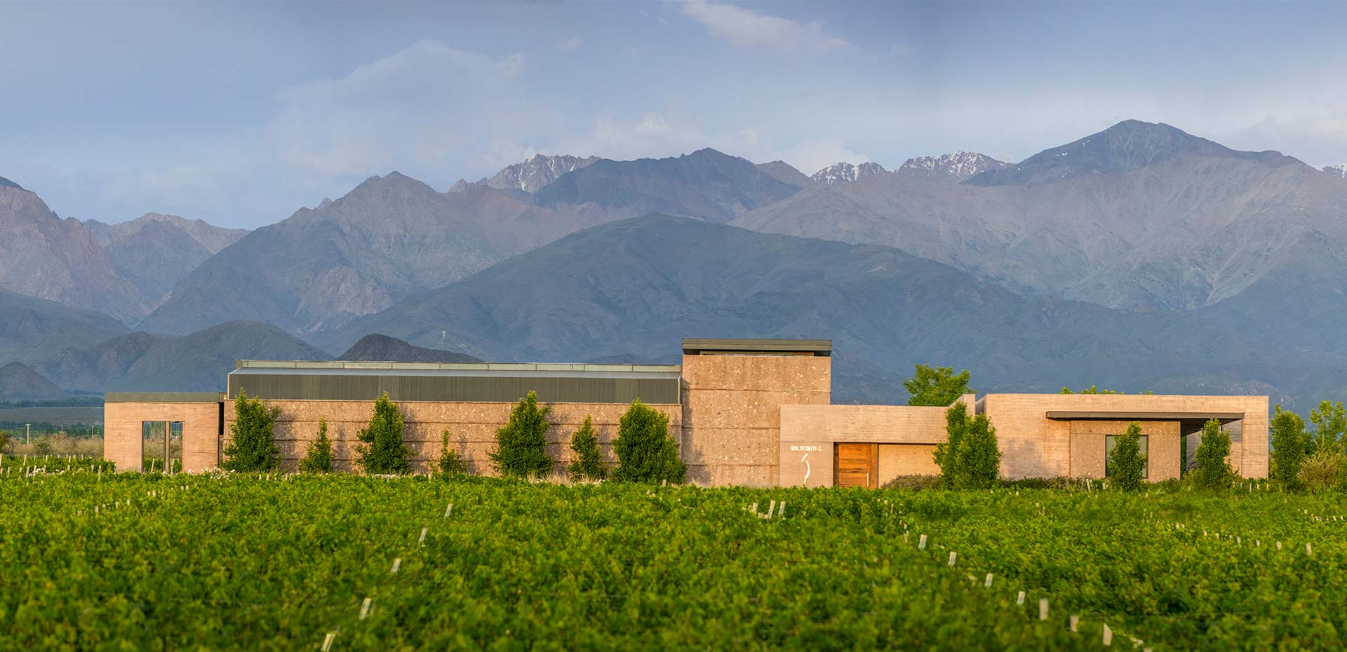 Solo Contigo Wines – Mendoza, Argentina
